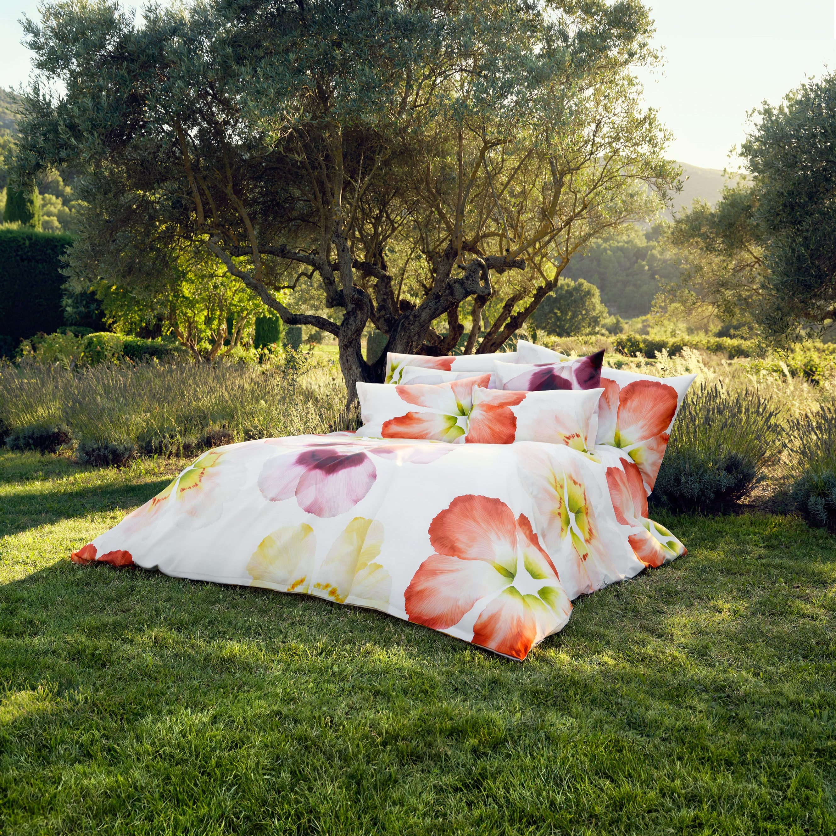 Schlossberg Aurora Bed Linens | Bettenhaus - Fine European Bedding